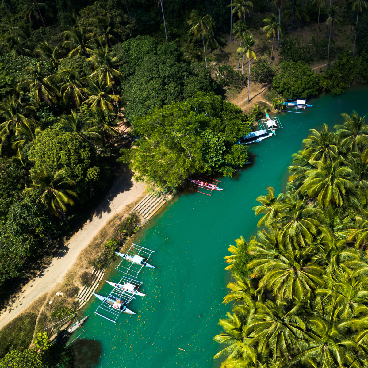 Dewil Eco Mangrove Tour El Nido